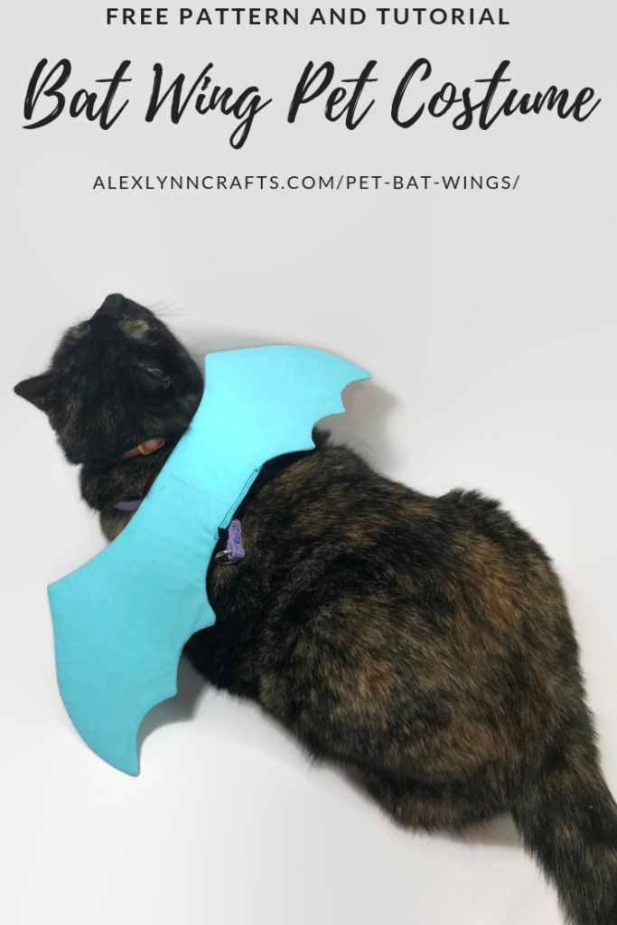 Free Pattern and Tutorial: Bat Wing Costume for Cats and Small Dogs ...