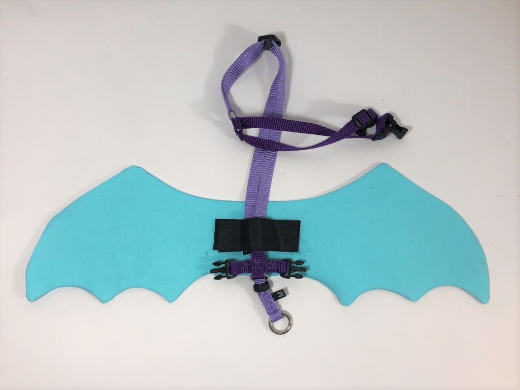 Free Pattern and Tutorial: Bat Wing Costume for Cats and Small Dogs ...